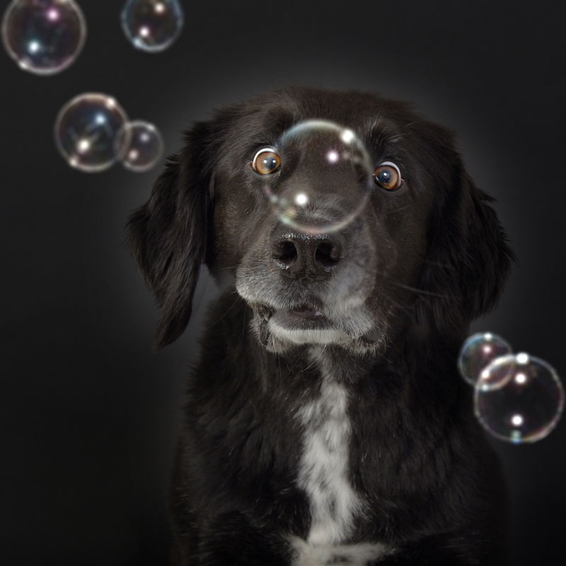 Portrait - John Murphy Photography | Carrick on Suir