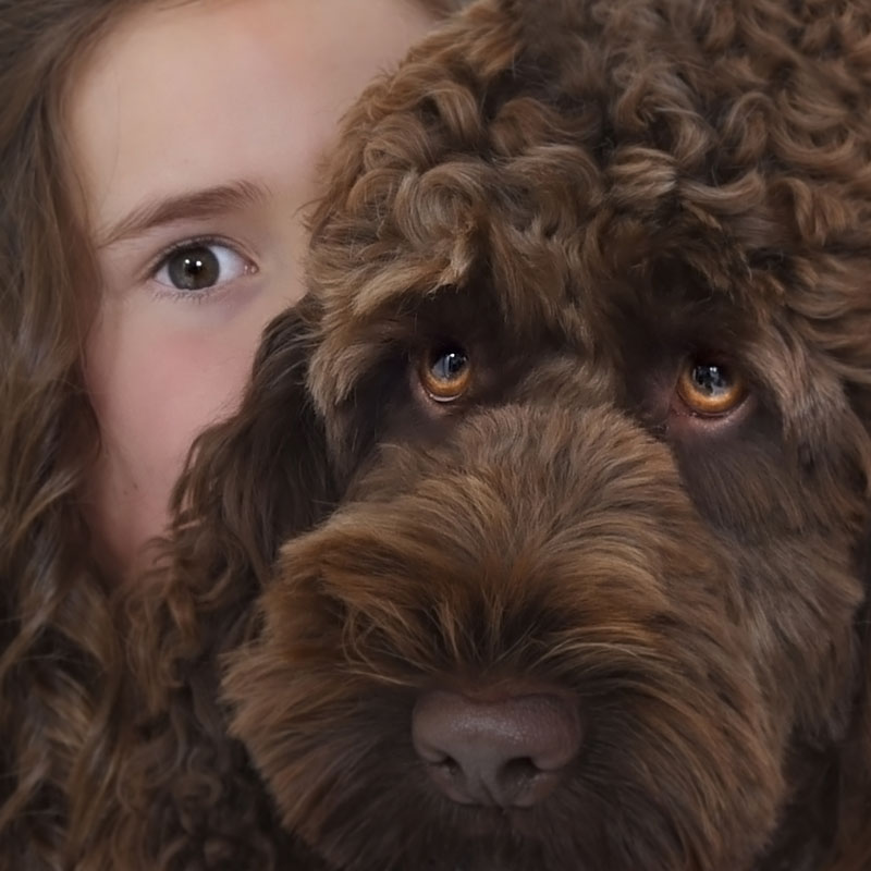 Portrait - John Murphy Photography | Carrick on Suir