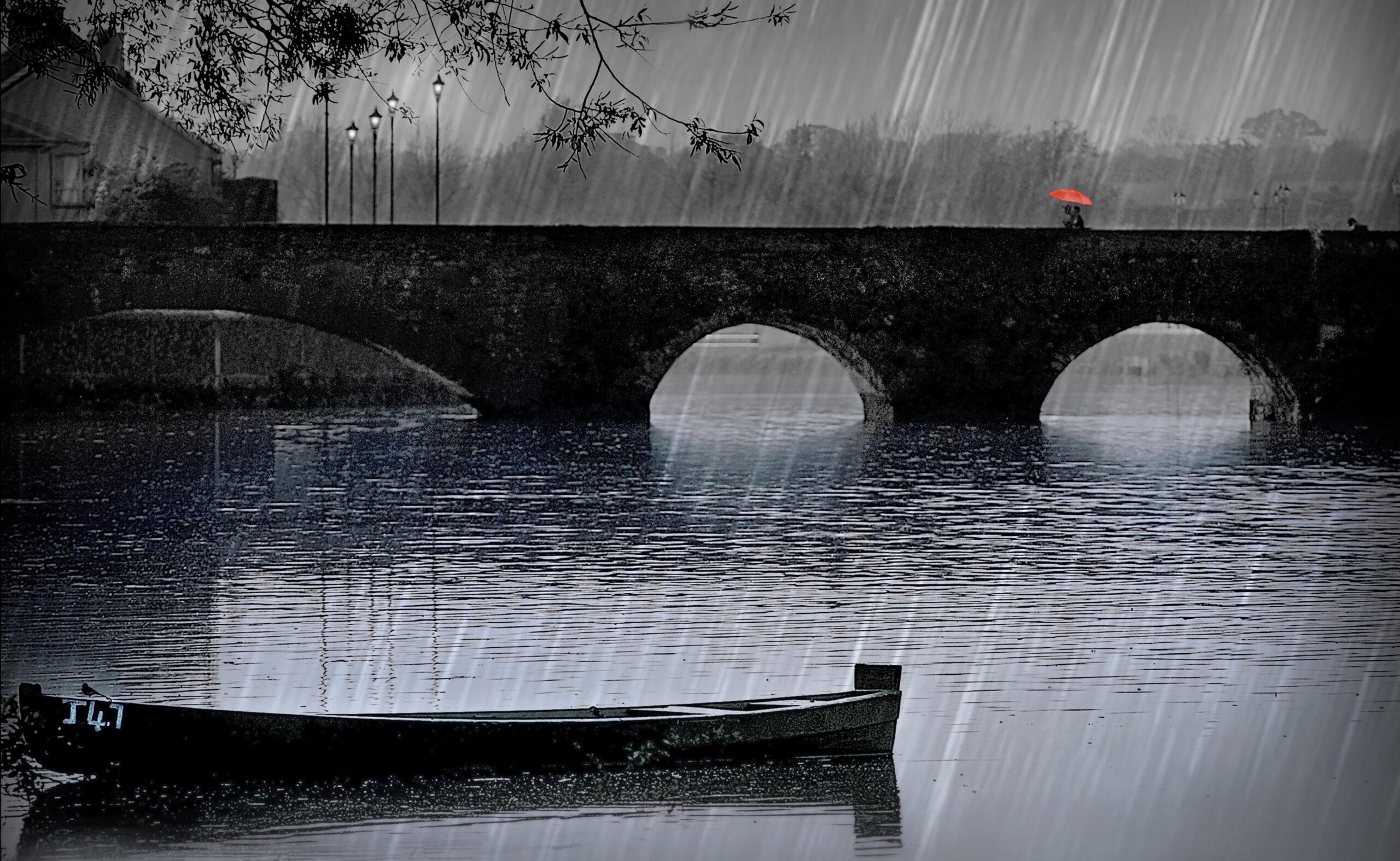 Home - John Murphy Photography | Carrick on Suir